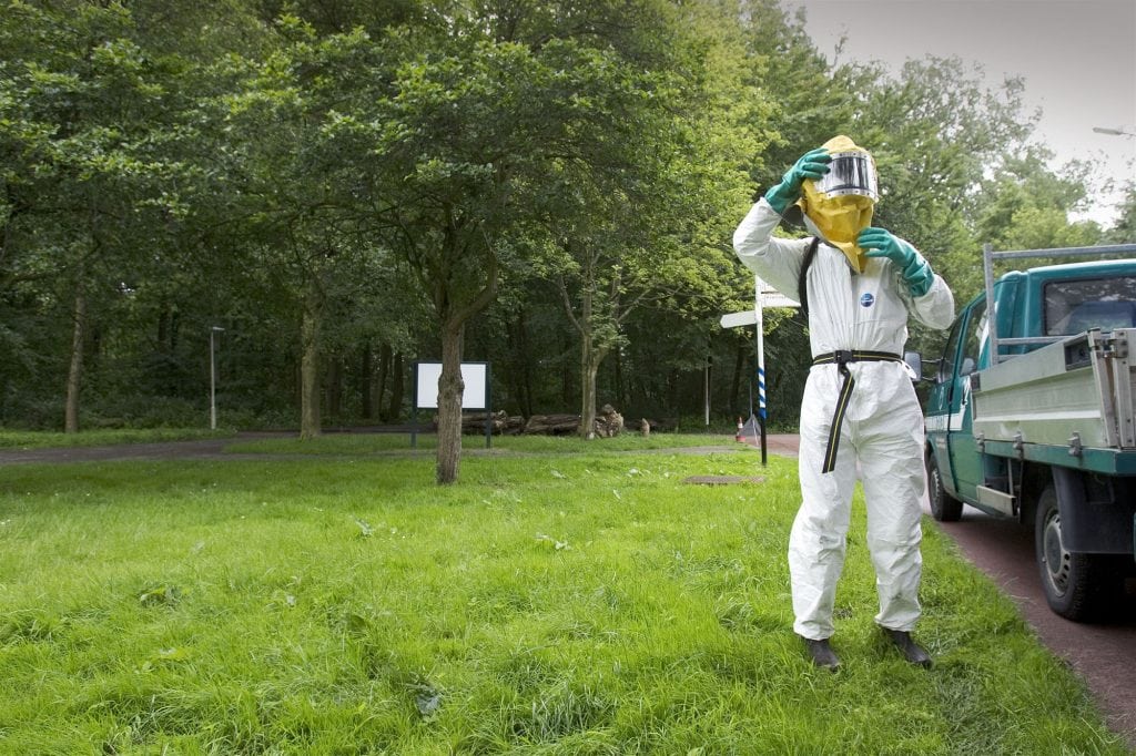 Oorlog aan de processierups! - indebuurt Eindhoven