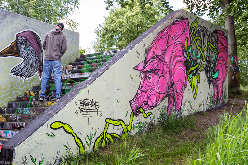 Nog even genieten van de mooiste foto's van Step in the Arena 2019 ...