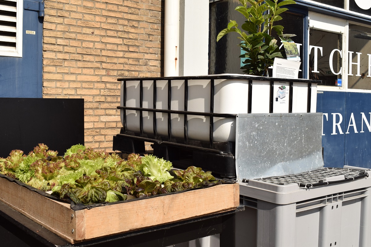 Tim en Sabine van PHOOD Kitchen: 'De gezondheid van de gasten staat bij ...