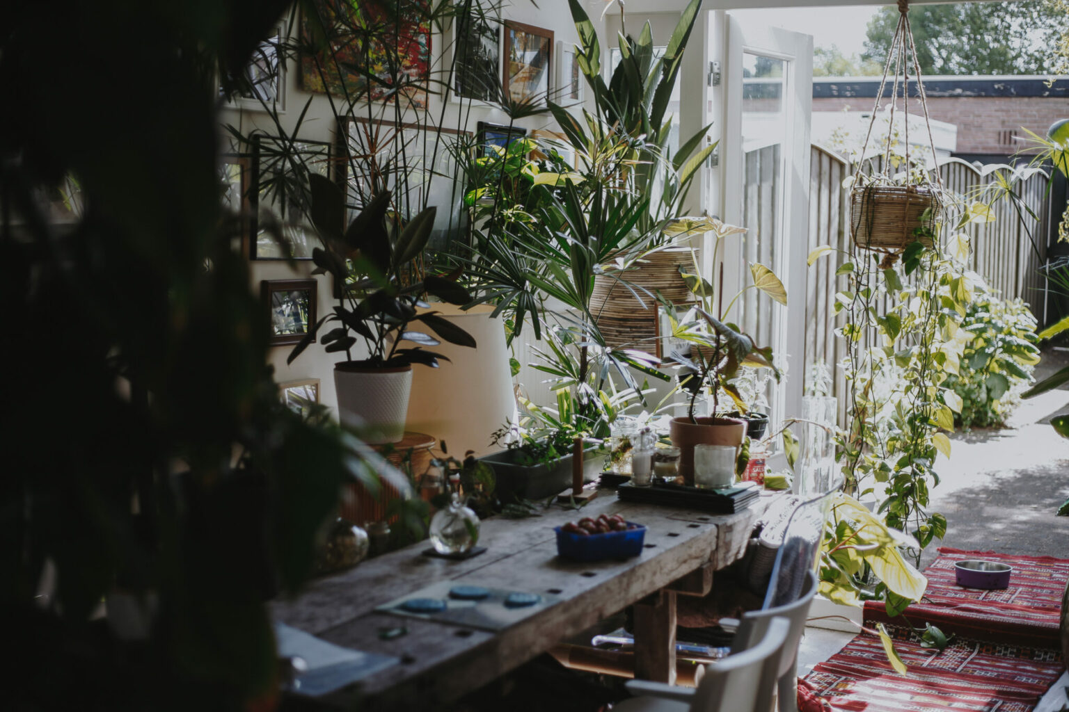 Dode plant of nieuwe plantjes nodig? Hier in Eindhoven kun je terecht