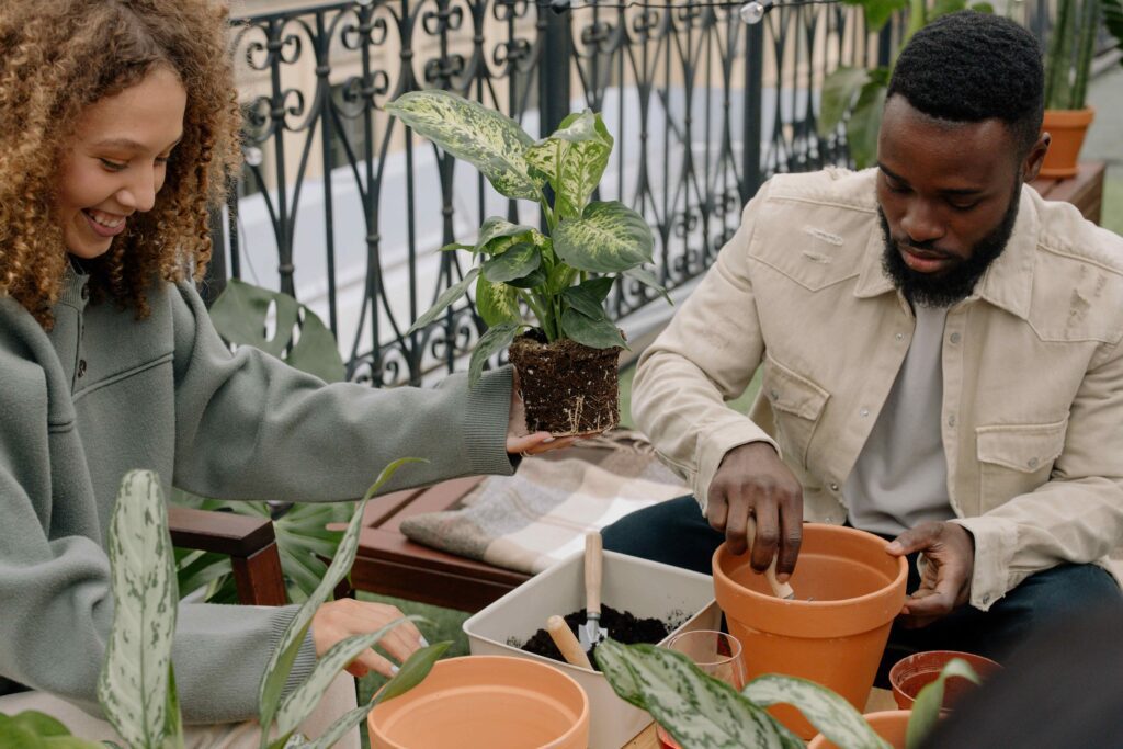 De Groene Wijk Week is in Eindhoven en dit is er te doen