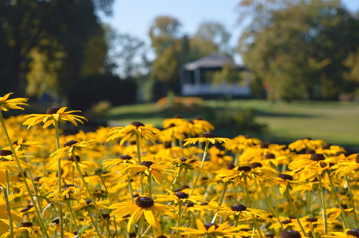 7 x onmeunig mooie natuurfoto's van Enschede - indebuurt Enschede