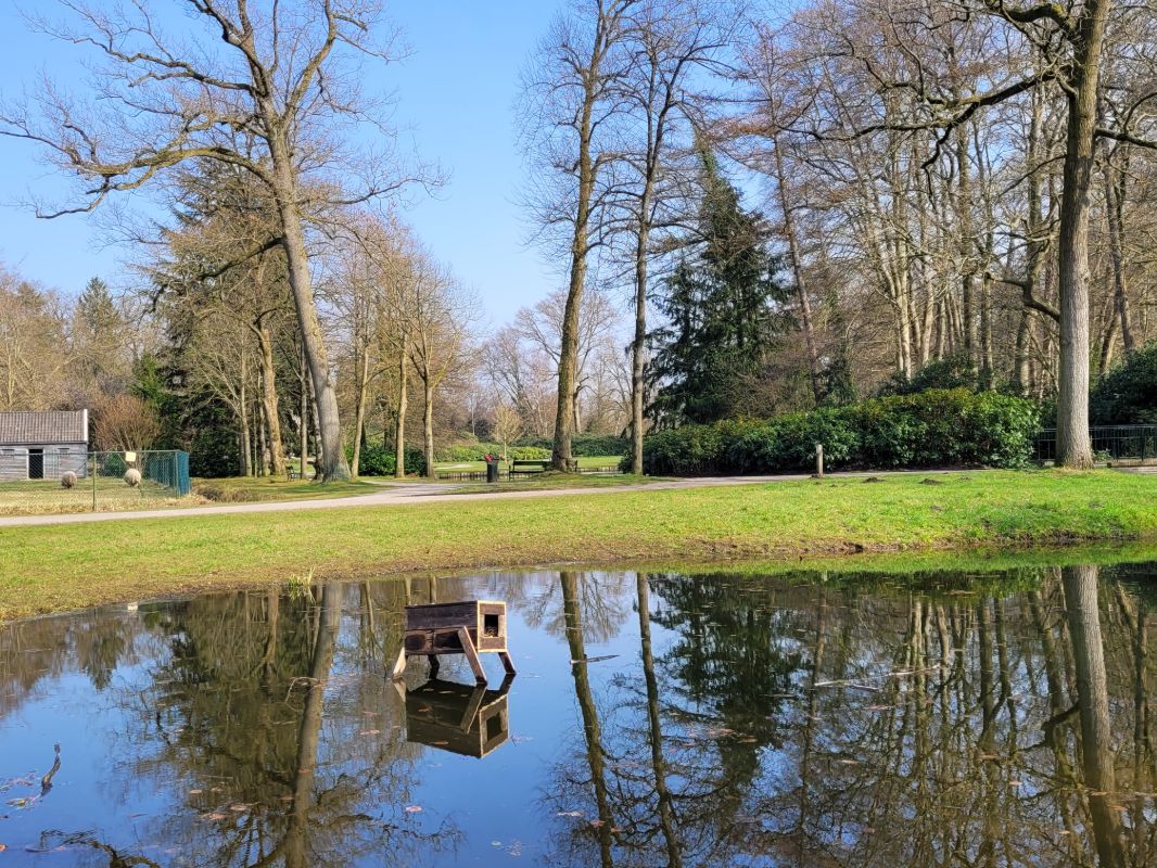 Aha! Dus daarom staan er opeens houten kastjes in de vijvers van het Ledeboerpark - indebuurt ...