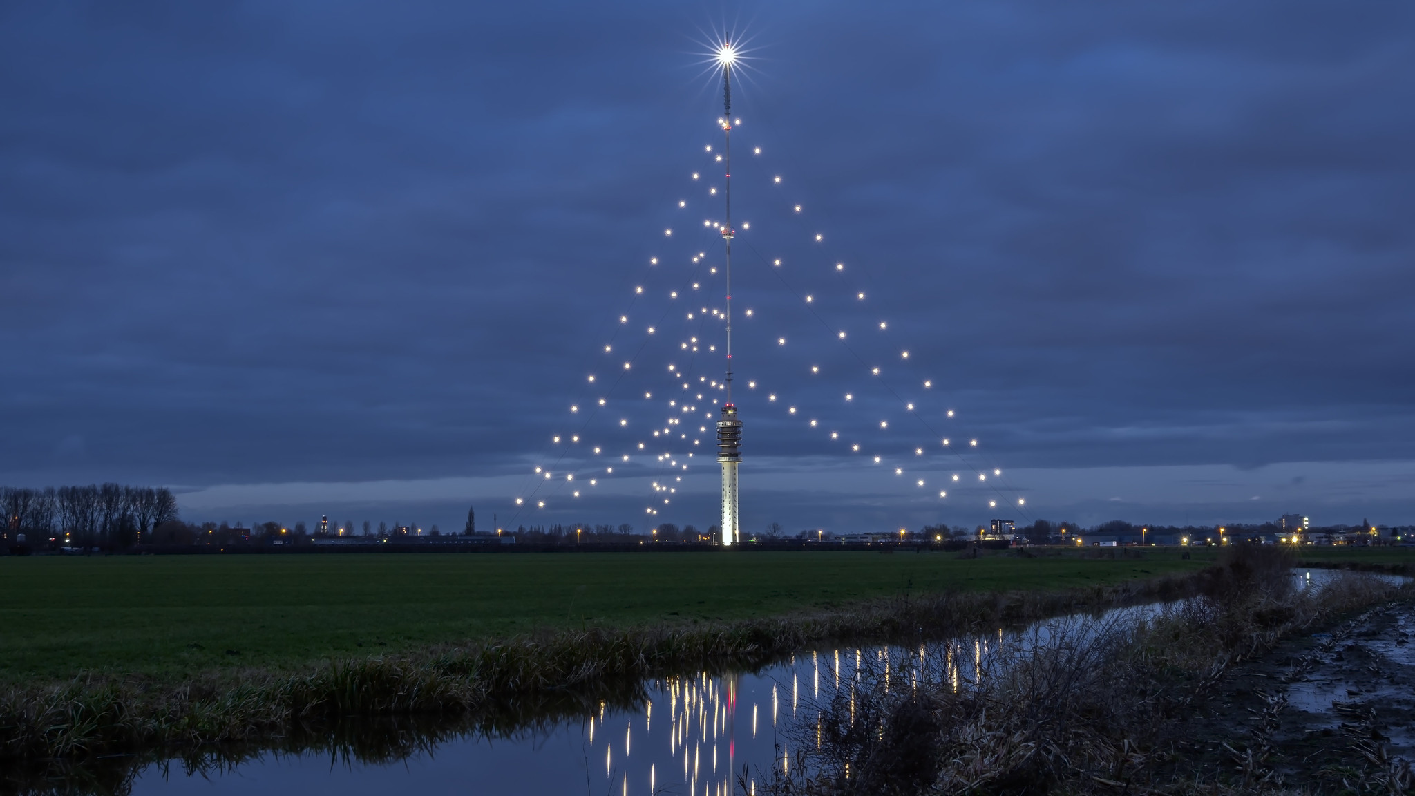 De grootste kerstboom van Nederland staat hier (en is zoveel groter dan ...