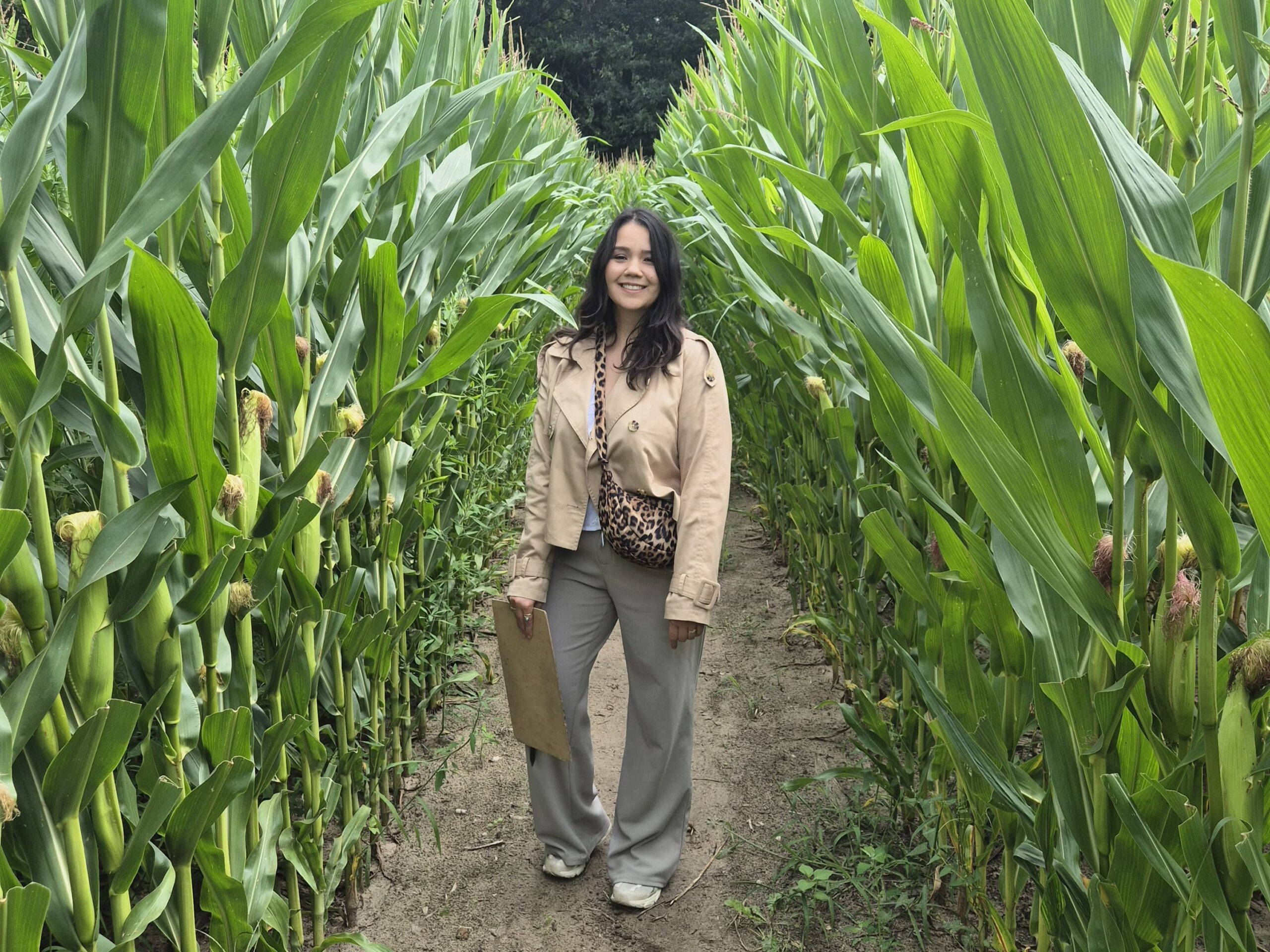 Weekje Enschede: daten in het maisdoolhof en films kijken onder de sterren
