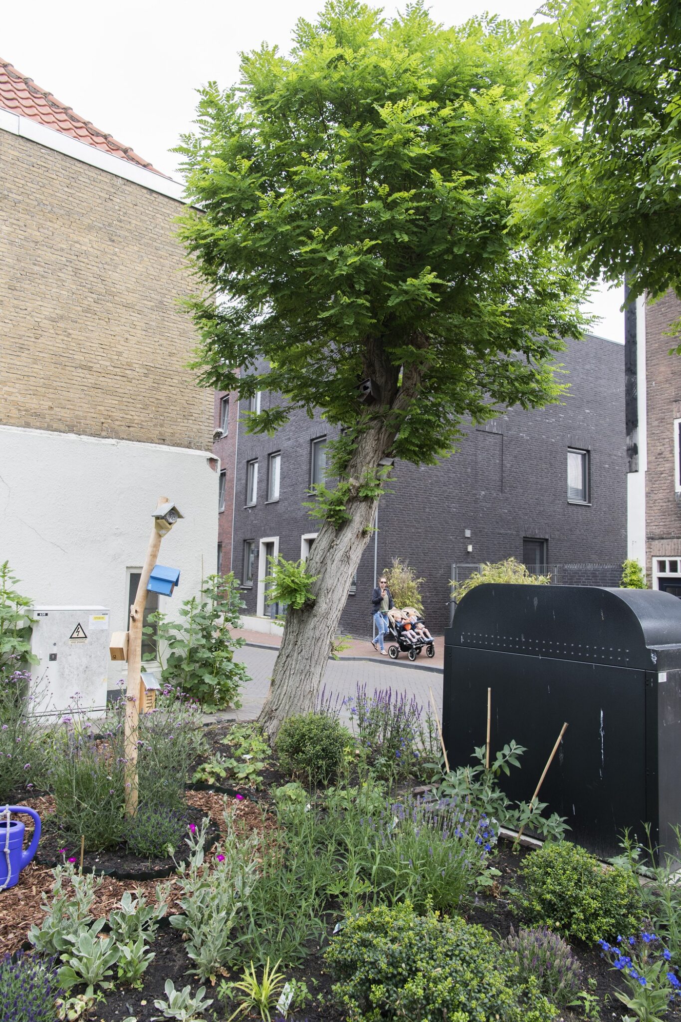 De binnenstad is één van de minst groene wijken van Gouda en dat gaat ...