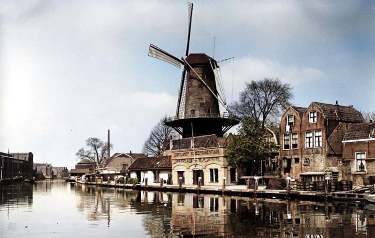 12 x de Goudse geschiedenis komt tot leven met deze digitaal ...