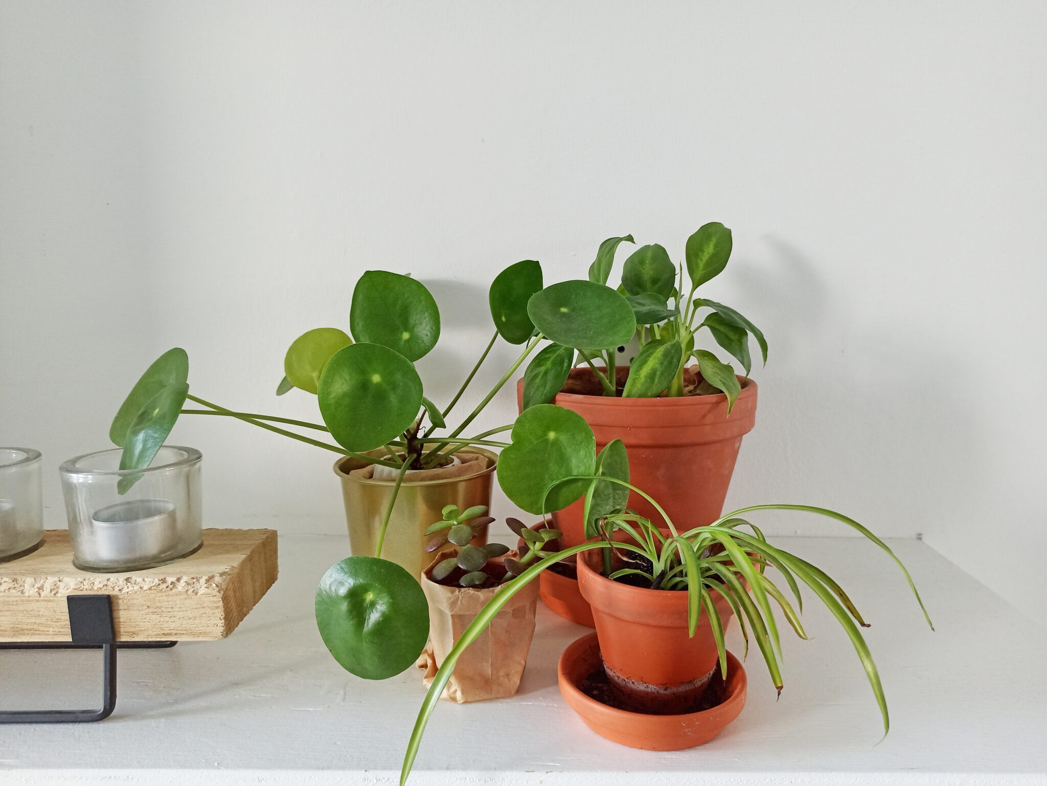 Binnenkijken bij Anniek aan het Pijpenpad: 'Ik heb een kantoor in mijn ...