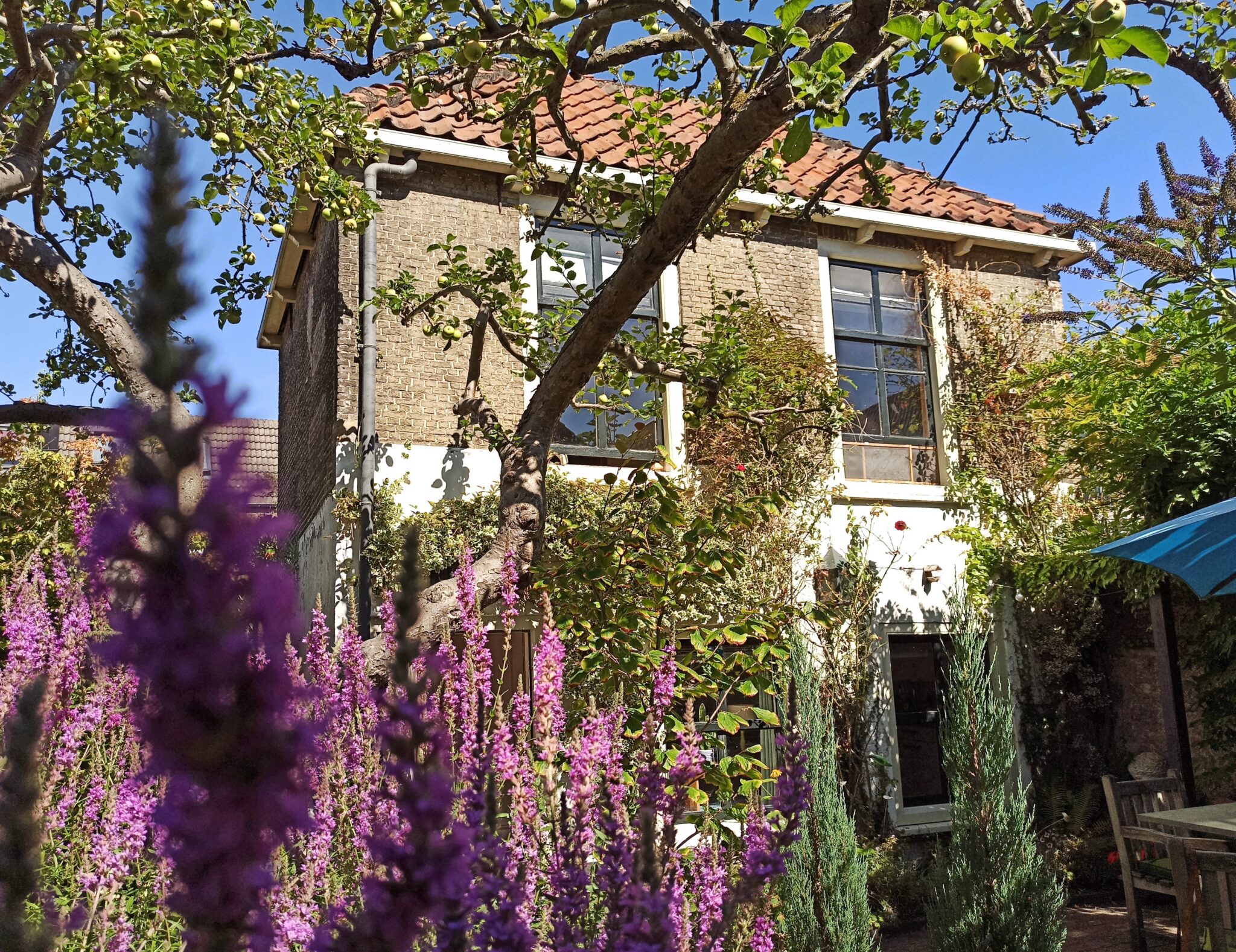 Binnenkijken bij Jos: ‘Onze gasten noemen het weleens een paradijs ...