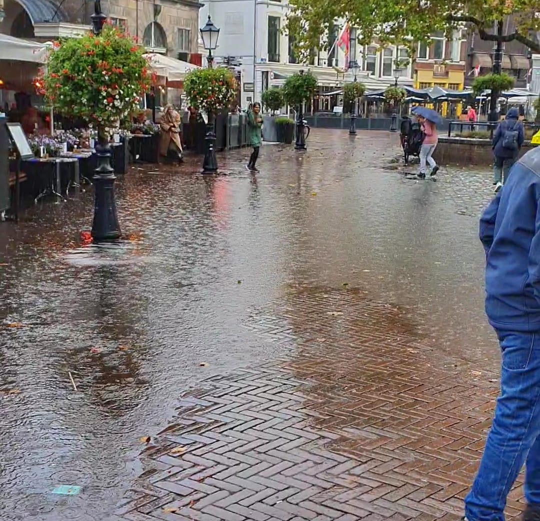Heel Gouda wit en nat: winterse bui zorgt voor overstromingen ...
