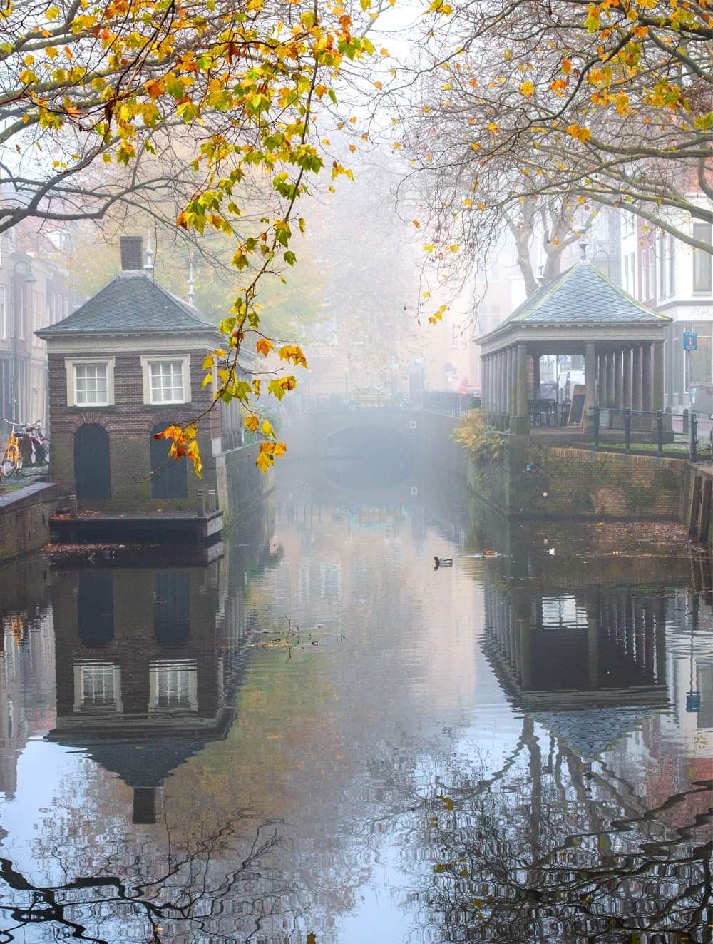 Wat een plaatjes! Dit zijn jullie mooiste foto’s van 2022 in Gouda ...