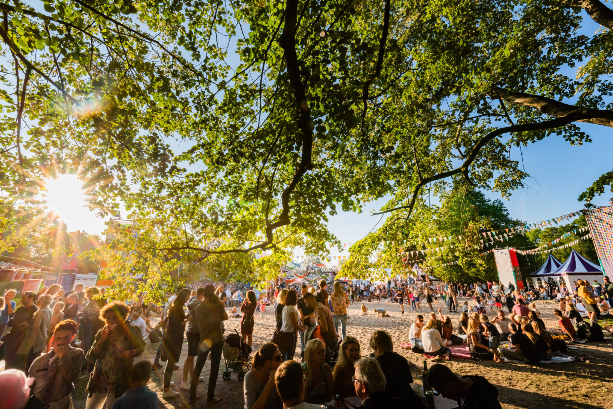 Snik! Officieel géén Green Day, Stadspark Live en Noorderzon deze zomer ...