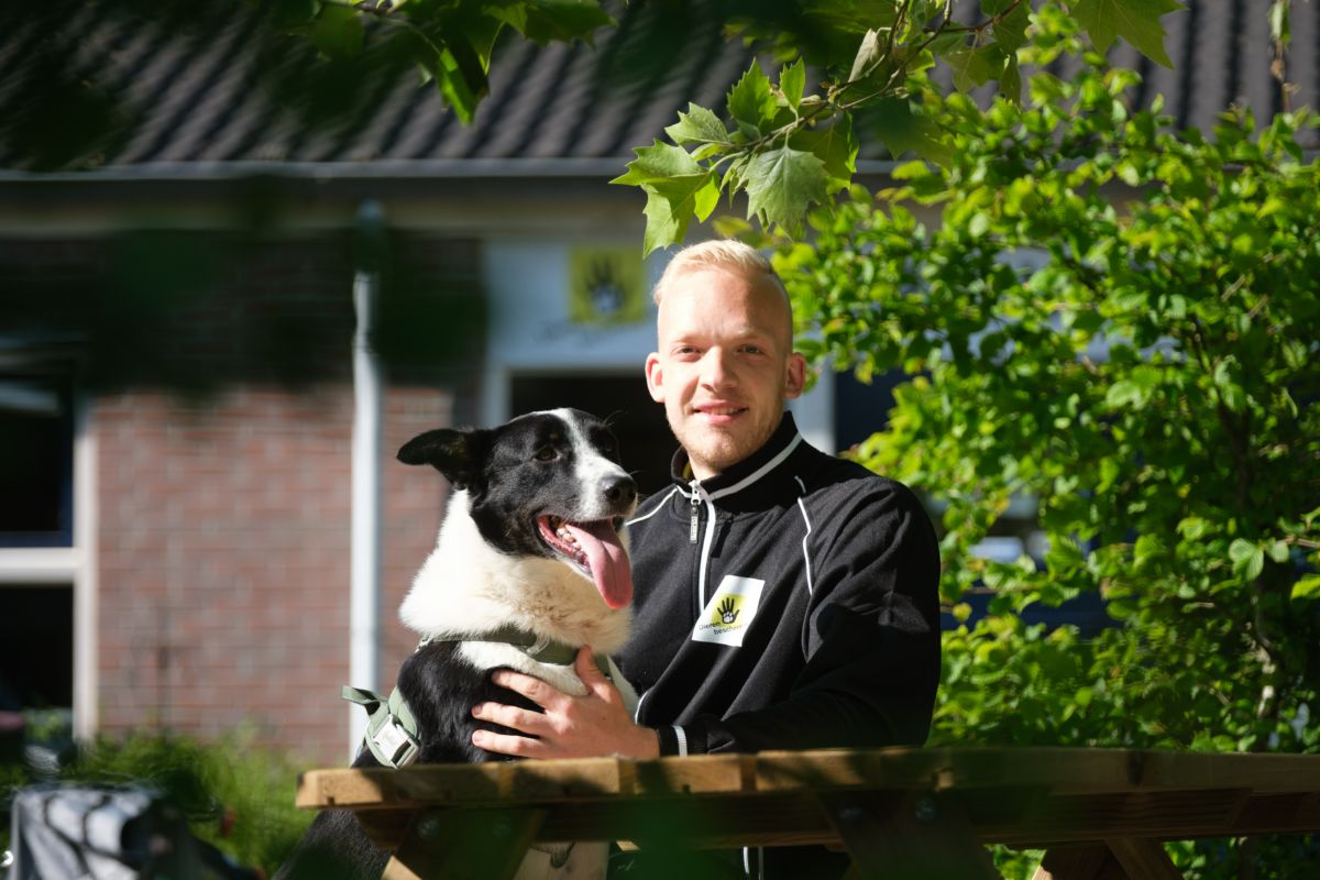 Johan werkt in een dierenasiel: 'Iedere hond verdient een fijn thuis ...