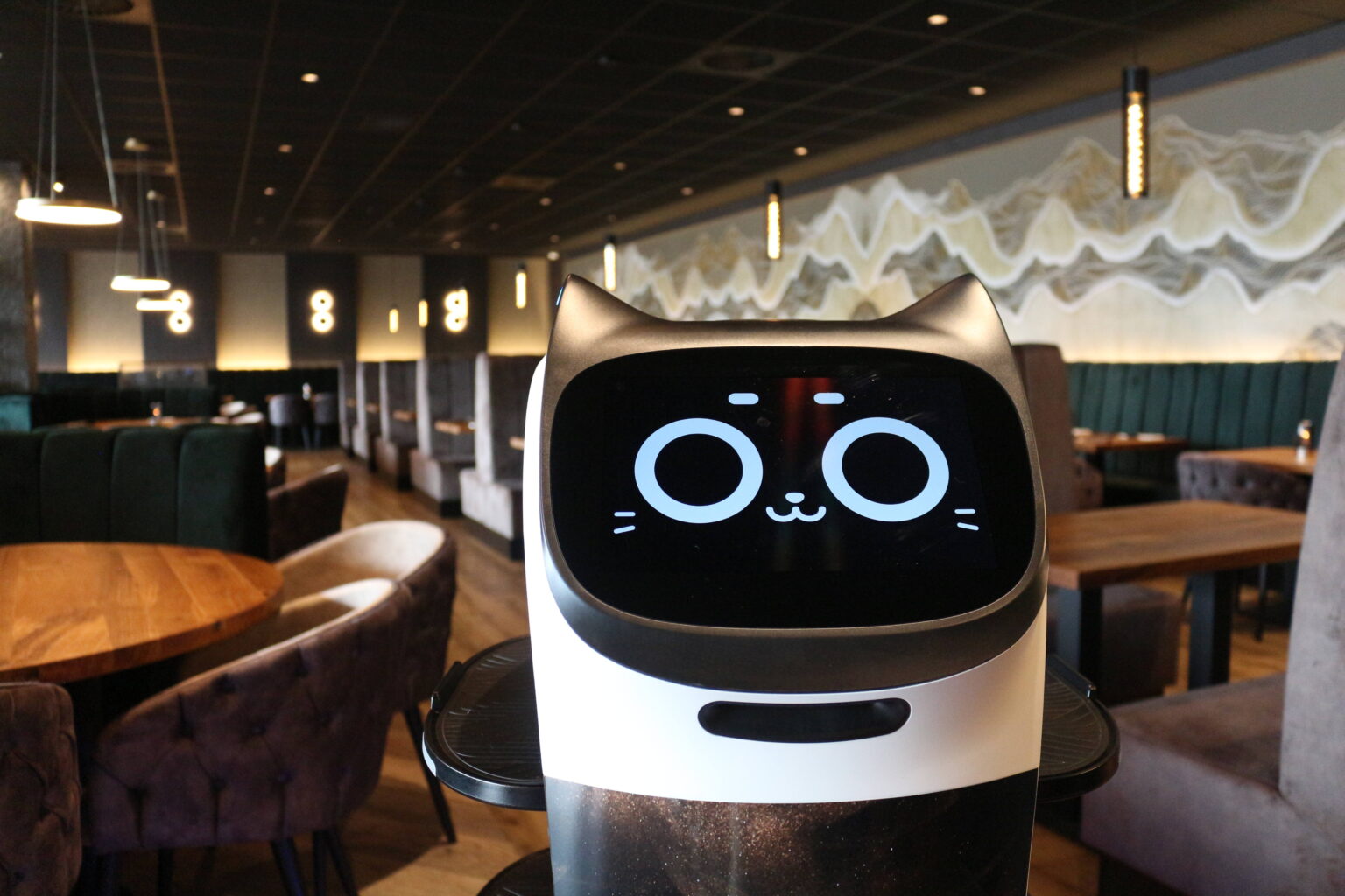 Say what?! In dit nieuwe restaurant wordt je eten gebracht door een ...