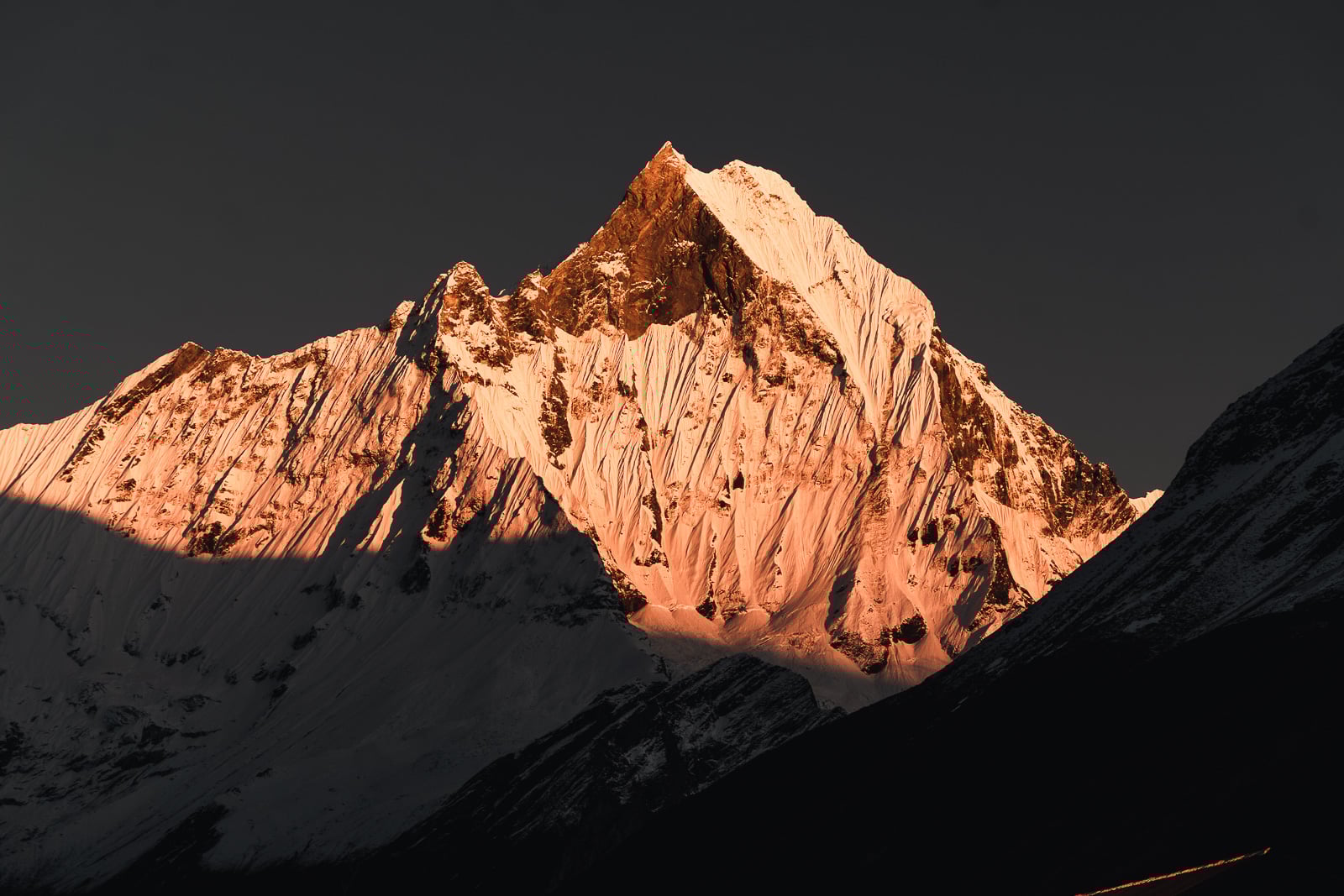 Oscar organiseert Haarlemse wandeltocht om geld in te zamelen voor ...