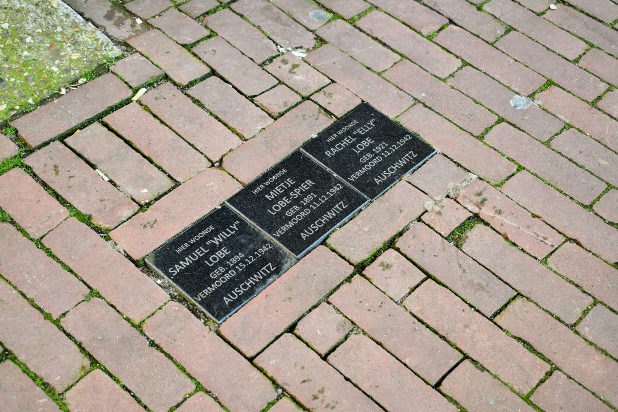 Helmonds mysterie: het verhaal achter die glimmende 'struikelstenen ...