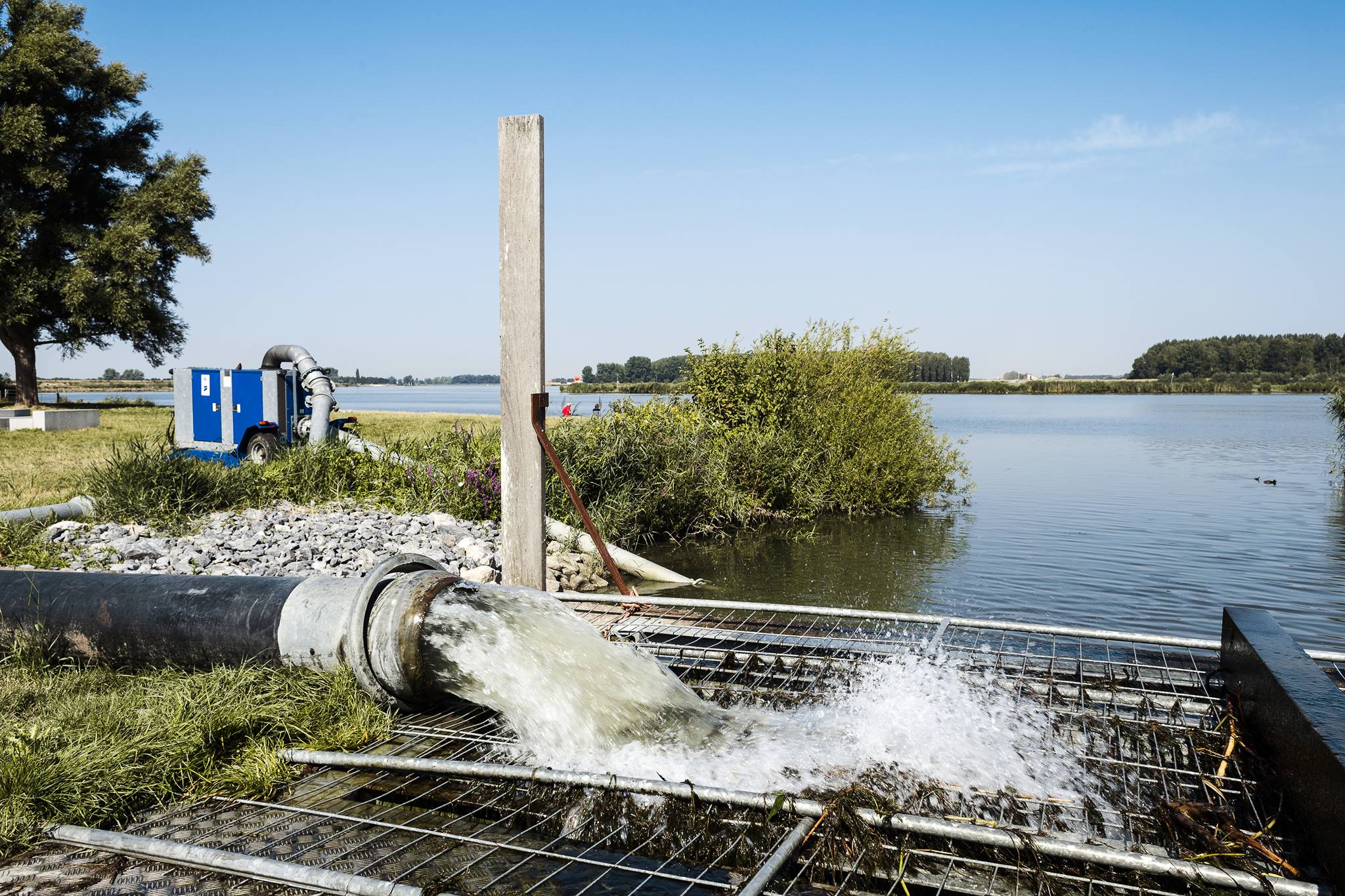 Wat doet het waterschap nou eigenlijk allemaal in de Hoeksche Waard ...