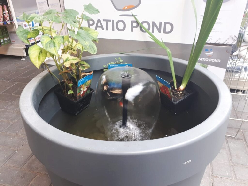 Dit is de ideale vijver voor je tuin en terras - wel de voordelen, niet ...