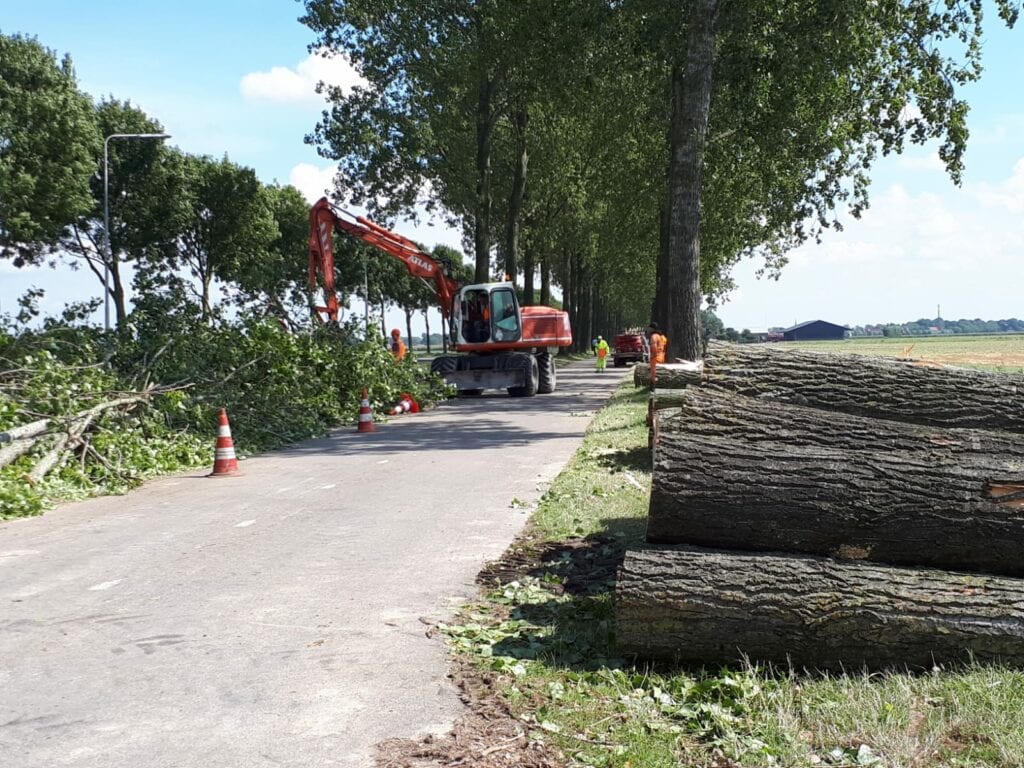 VIDEO: De eerste bomen langs de N489 zijn al gekapt - indebuurt ...