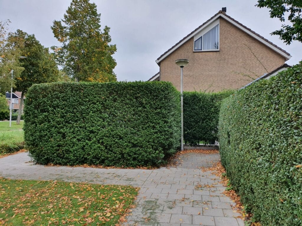 Mag dat: een lekker hoge schutting of heg in je voor- of achtertuin ...