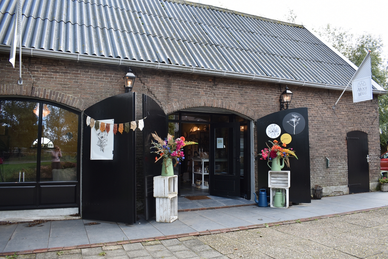 Mooi onder de Wilg - indebuurt Hoeksche Waard