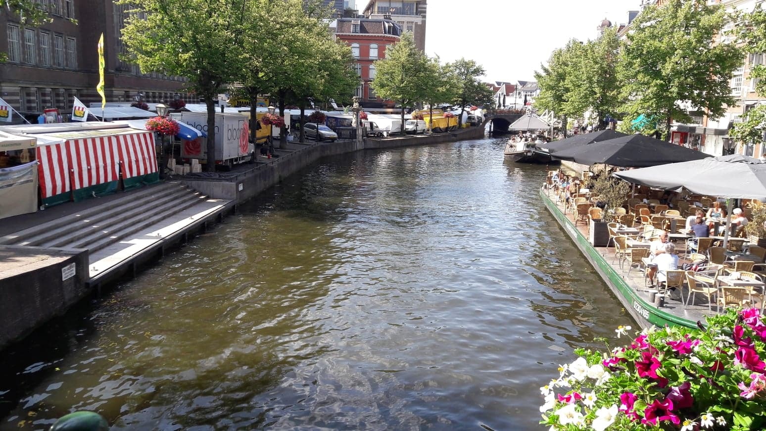 5 x daarom gaan wij graag naar de markt in Leiden - indebuurt Leiden