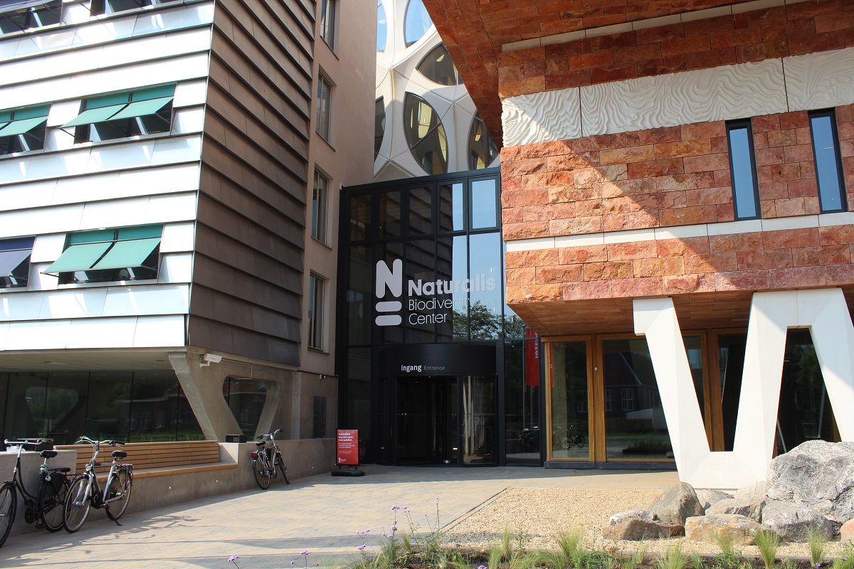 Museum Naturalis gaat weer open: dit kun je verwachten - indebuurt Leiden