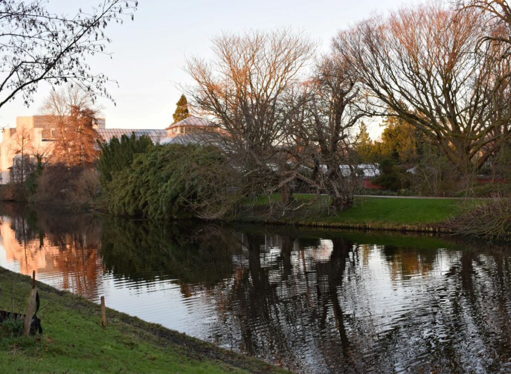 Happy Newyear! Naar deze feestjes kun je in Leiden met oud en nieuw (2024/2025) - indebuurt Leiden