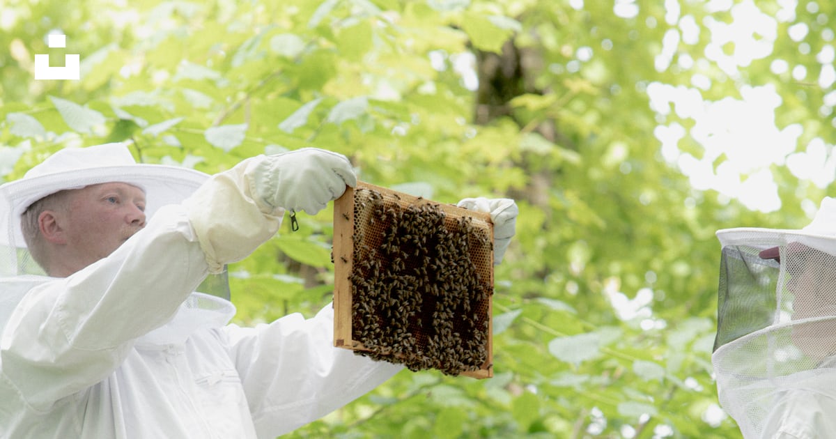 Een BIJzonder leuk uitje: bezoek een imker tijdens de Open Imkerijdagen ...