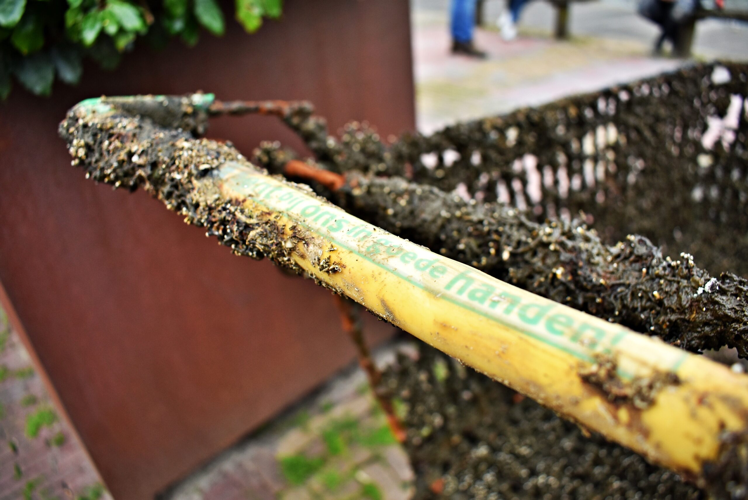 Ivo viste met zijn vader een 20 jaar oud winkelwagentje van de Konmar ...