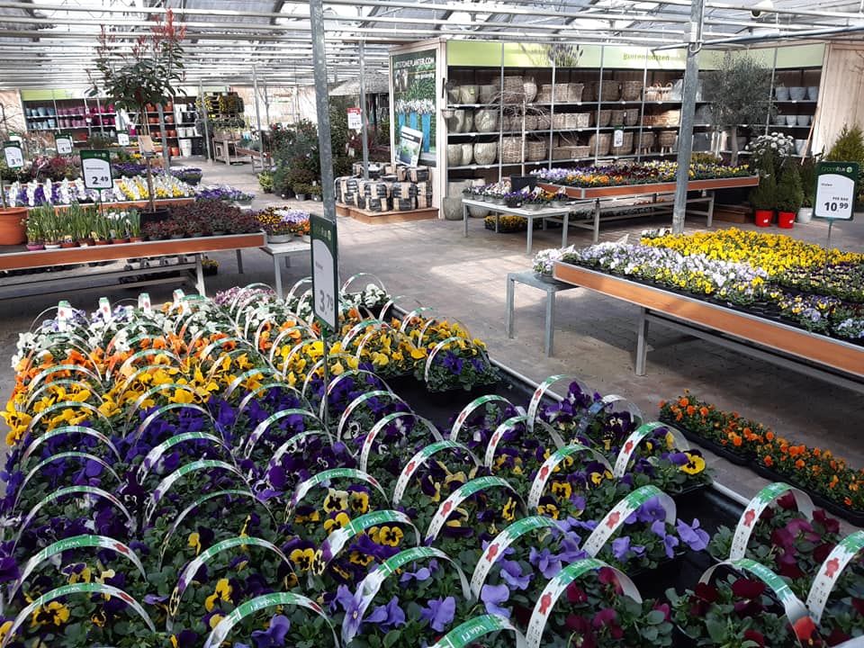 Hier vind je een tuincentrum in Nieuwegein en omgeving - indebuurt ...