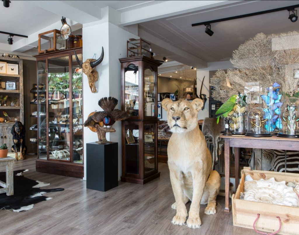 Wereldkeuken Triavium - indebuurt Nijmegen