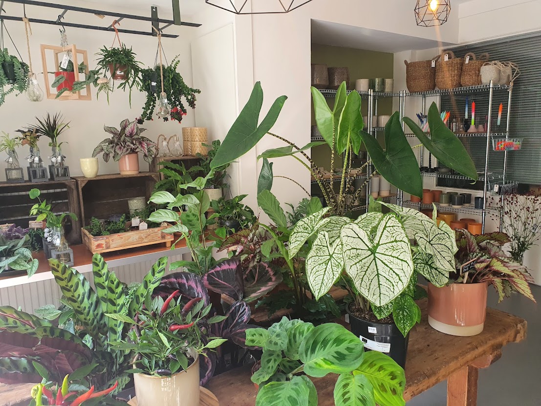 't Stekje Nijmegen - indebuurt Nijmegen