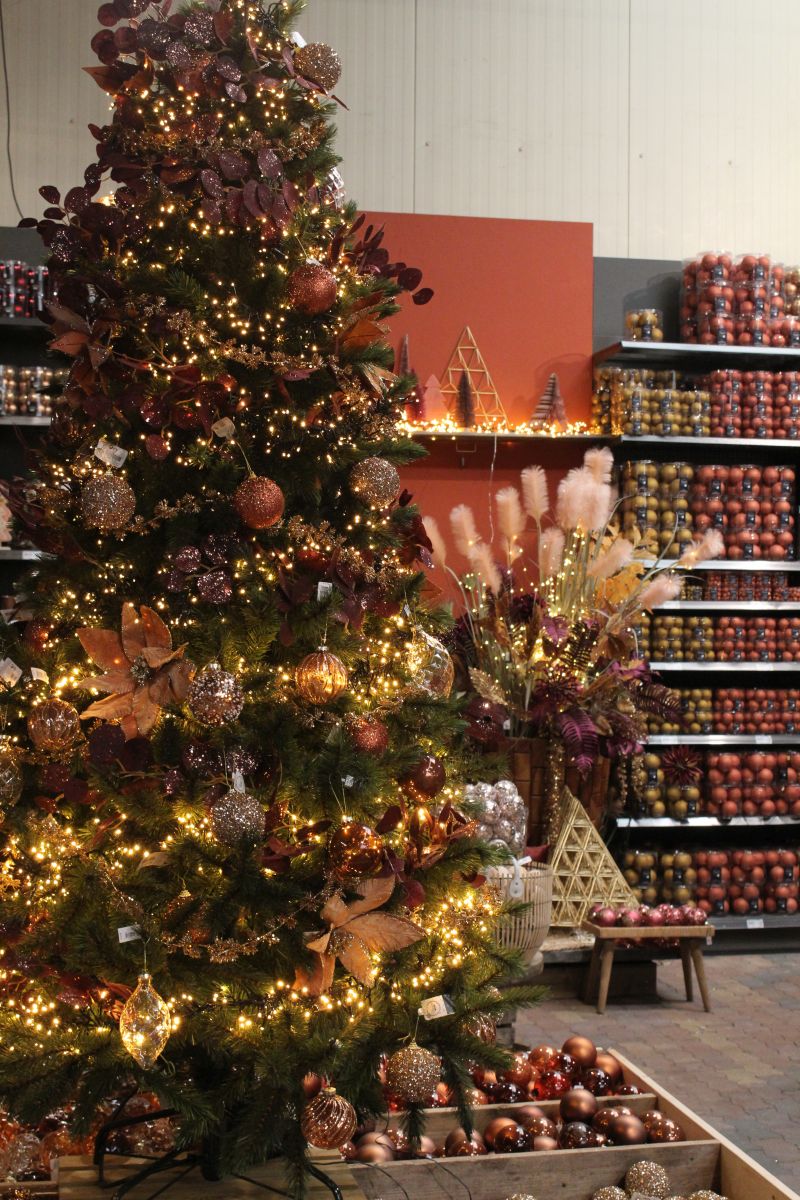 Pracht en praal: zo ziet de kerstshow bij Intratuin Malden er nu uit