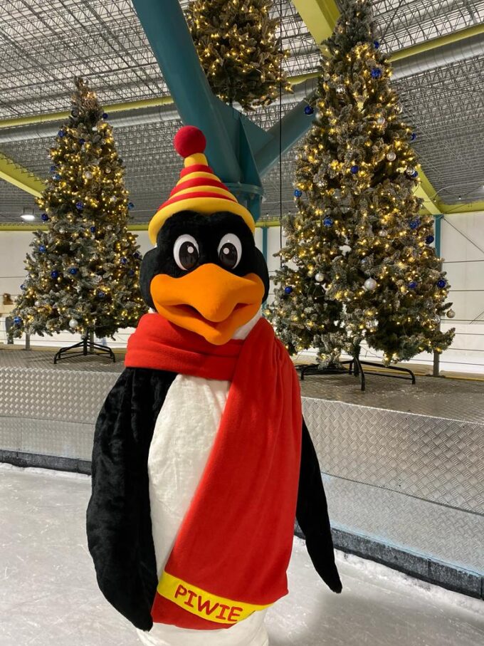 Dit kunnen kinderen doen in de kerstvakantie bij Triavium Schaatsbaan