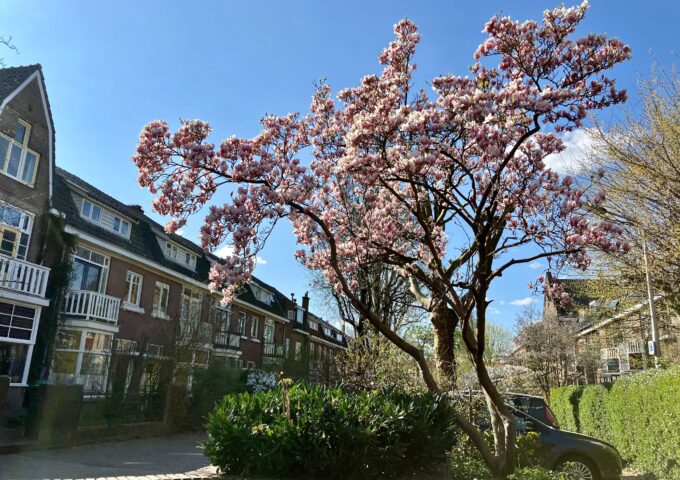 Talis - indebuurt Nijmegen