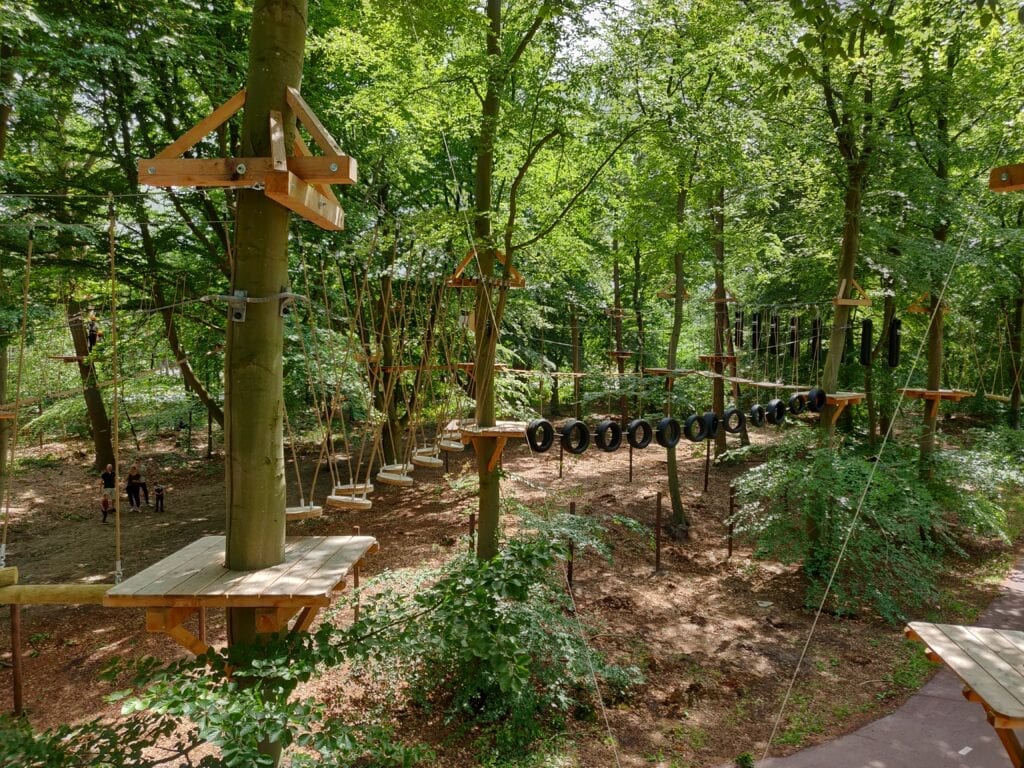 Zoef langs de bomen in Klimbos Harderwijk - indebuurt Randmeren