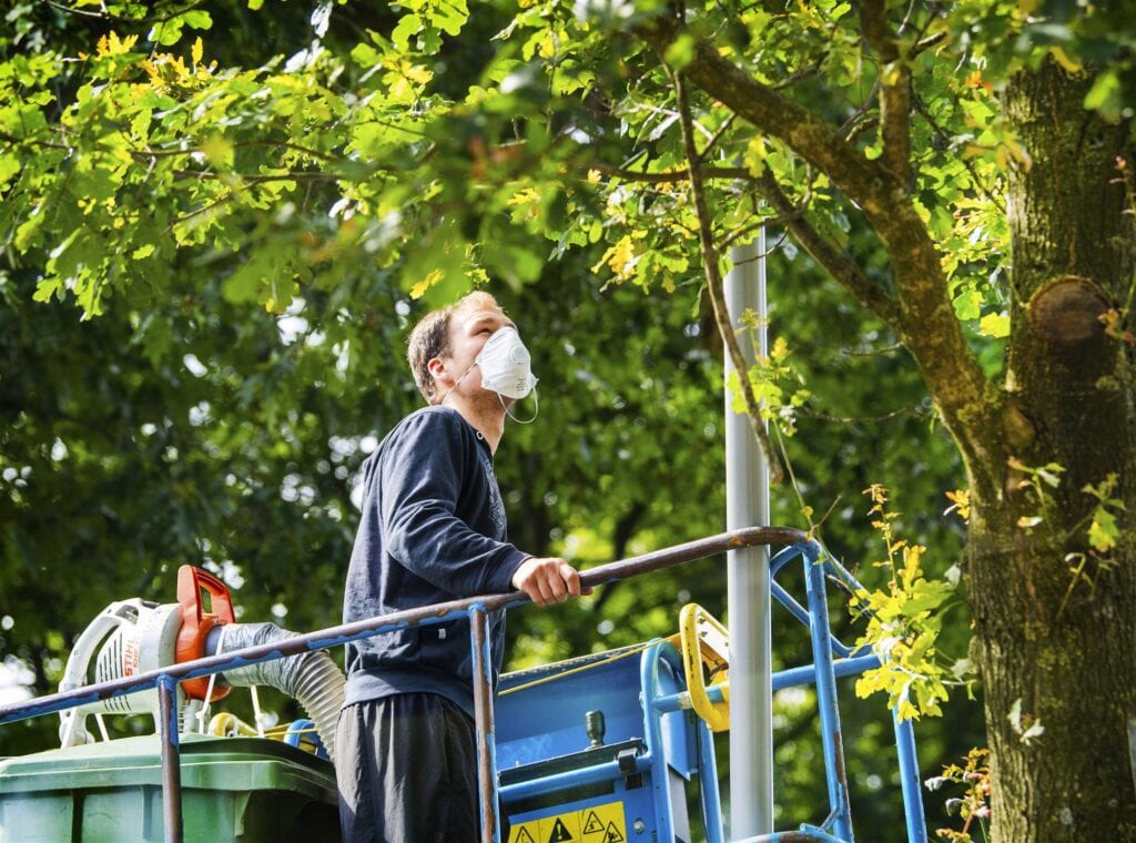 Kijk uit voor je huid! Eikenprocessierupsen kruipen door hitte uit bomen