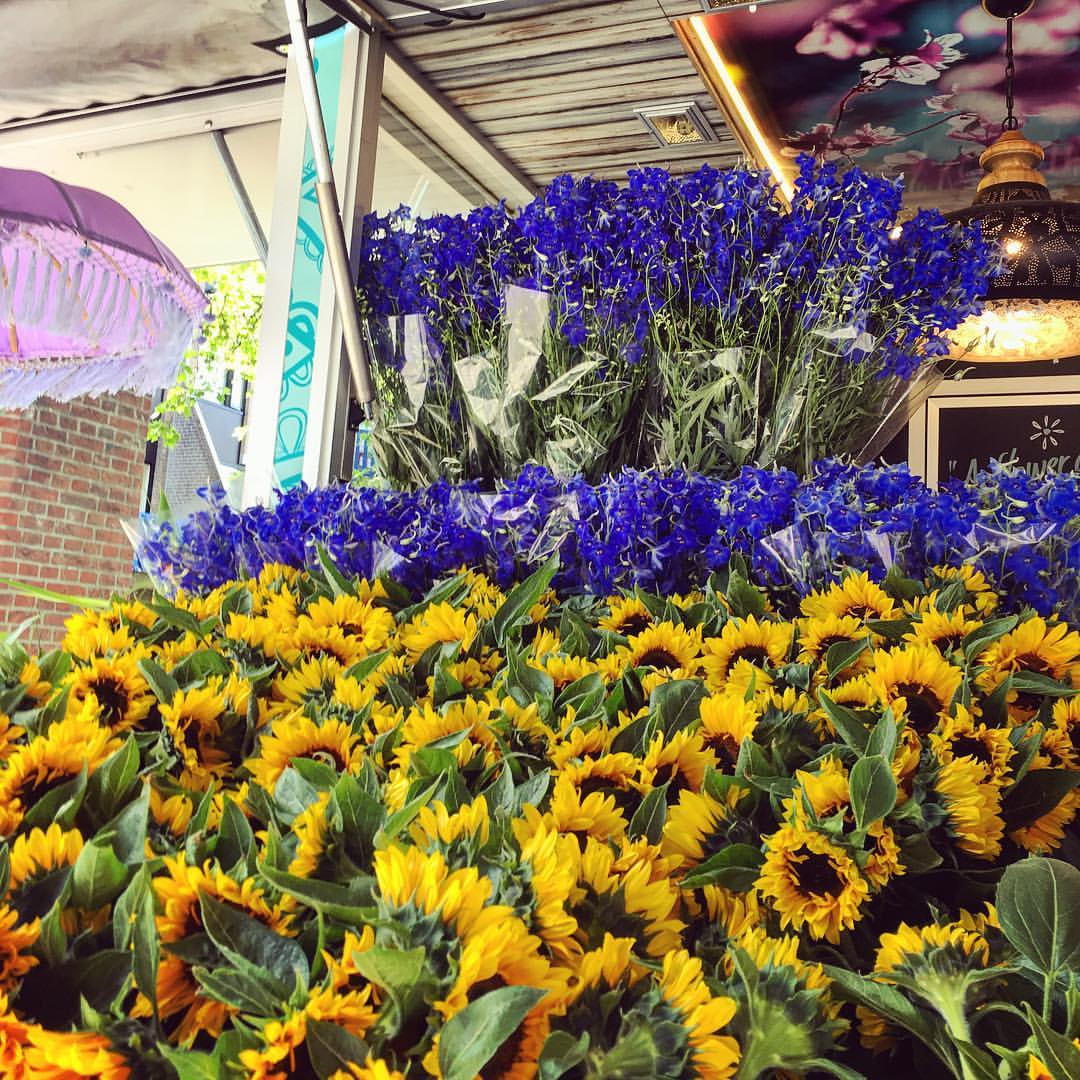 7 x bloemenzaken in Rotterdam - indebuurt Rotterdam