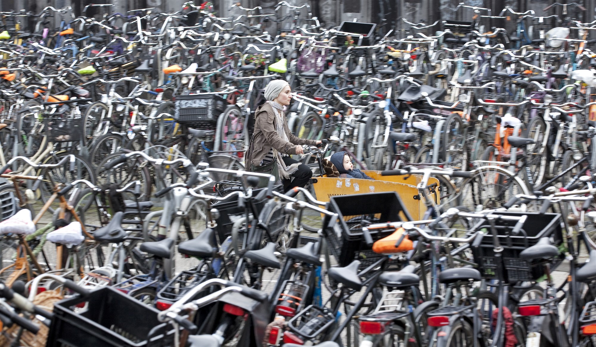 Fiets weg in Rotterdam? Dit moet je doen