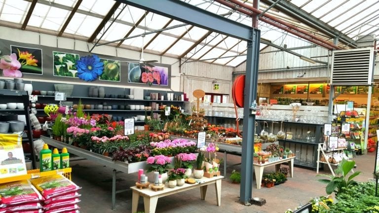 Intratuin Rhoon - indebuurt Rotterdam