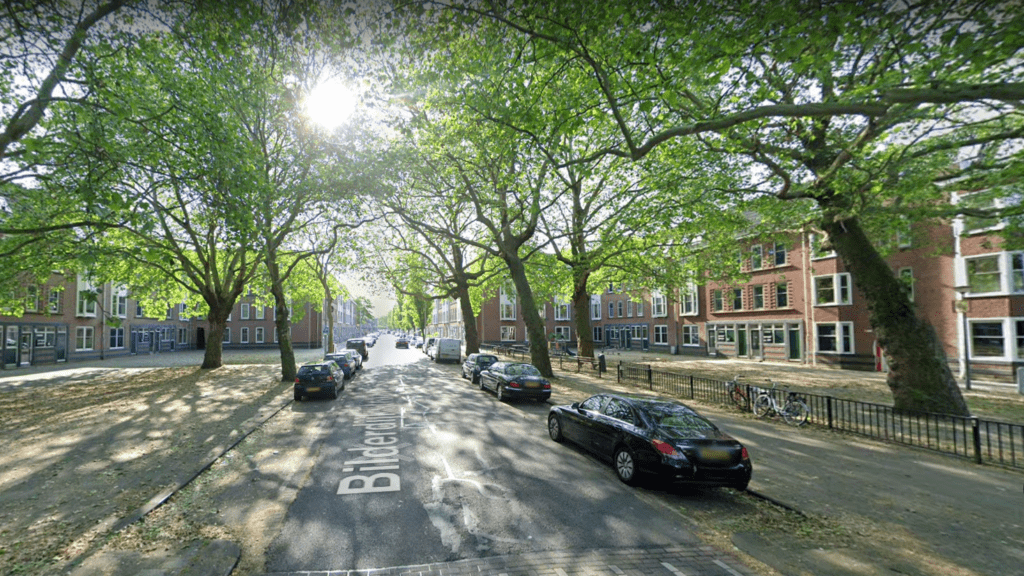 Grappig: zo zien de Witte de Withstraat en nog 4 Rotterdamse straten ...