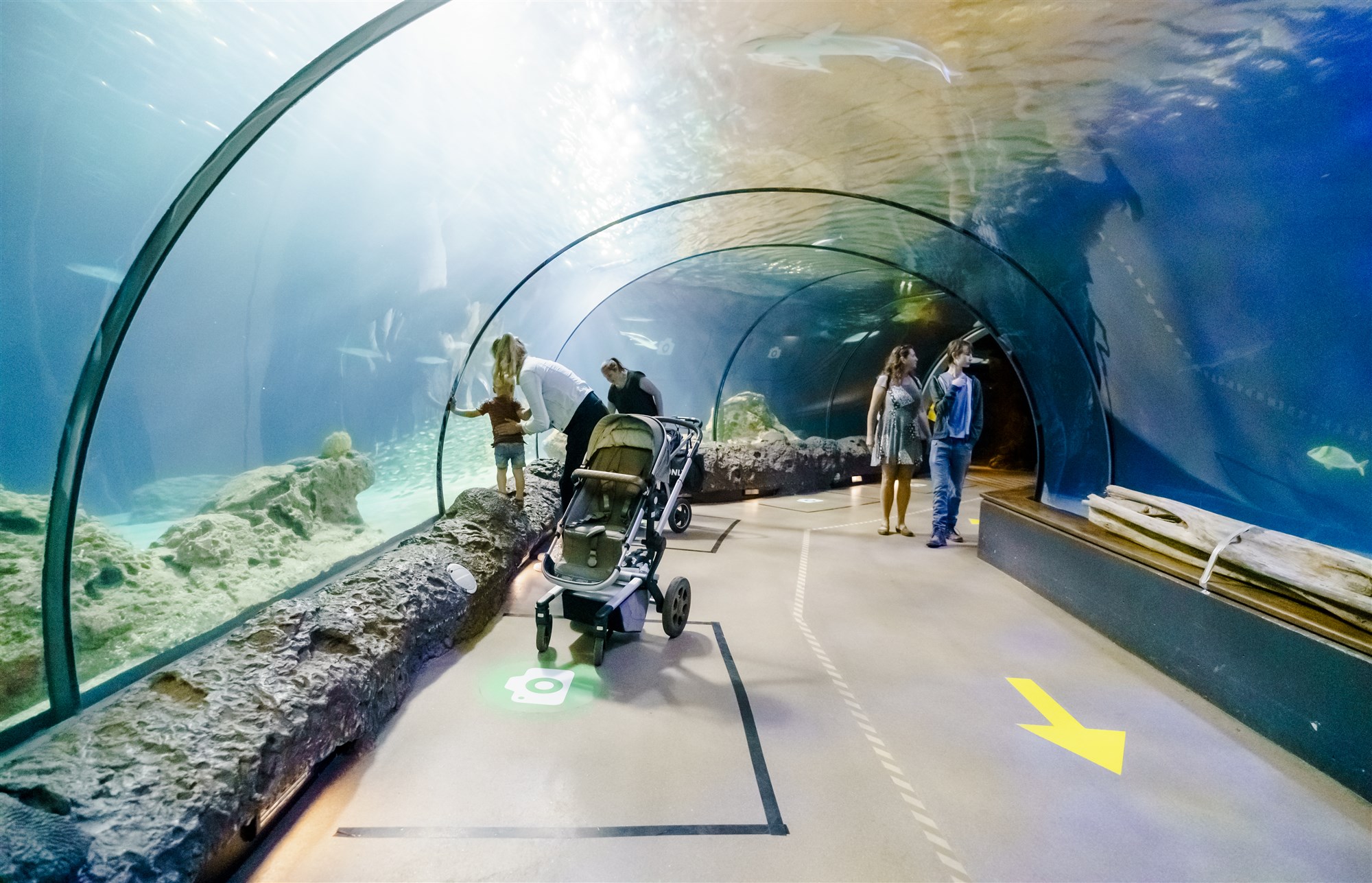 Da's effe anders! Zo ziet een bezoekje aan Diergaarde Blijdorp er nu ...