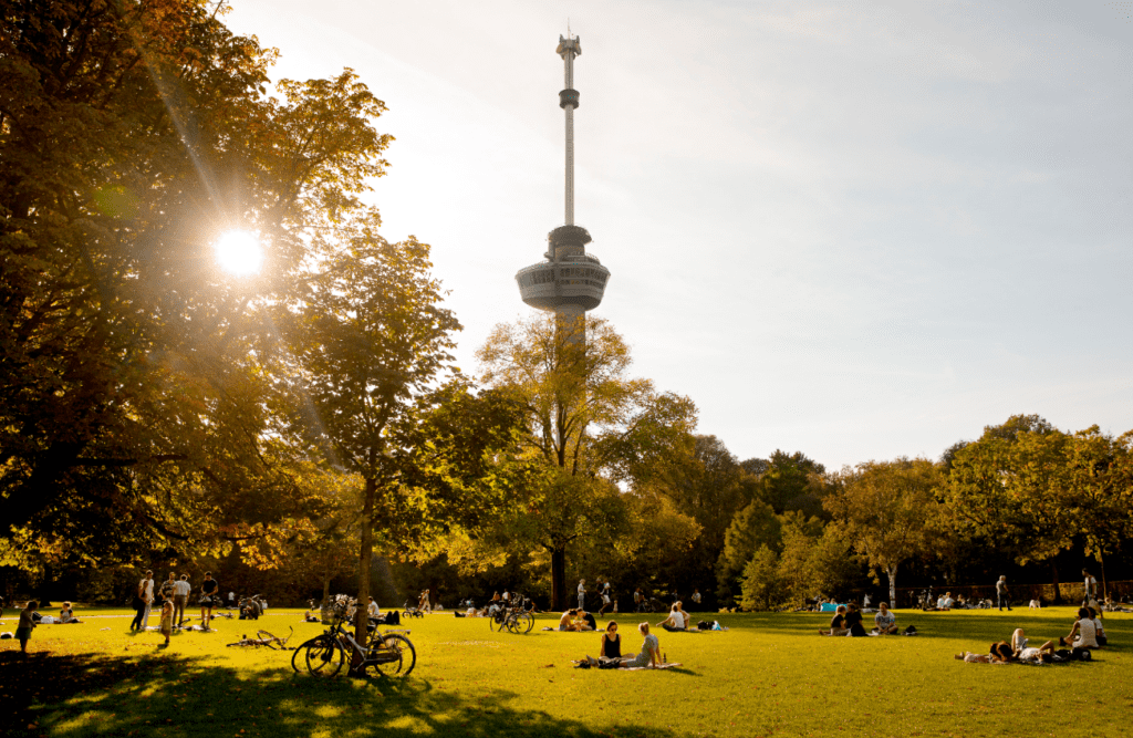 Qua weer wordt het een topzomer in Rotterdam en dit is wanneer je het ...