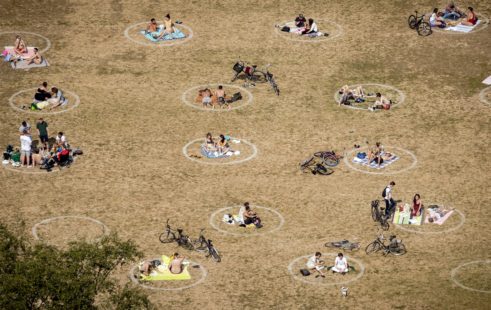 Zomervakantie staat voor de deur: dit is de weersverwachting voor juli ...