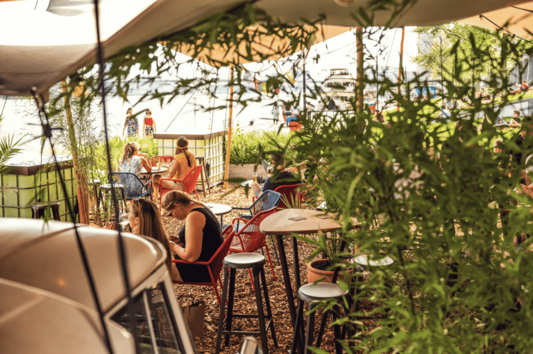 Palmentuin - indebuurt Rotterdam