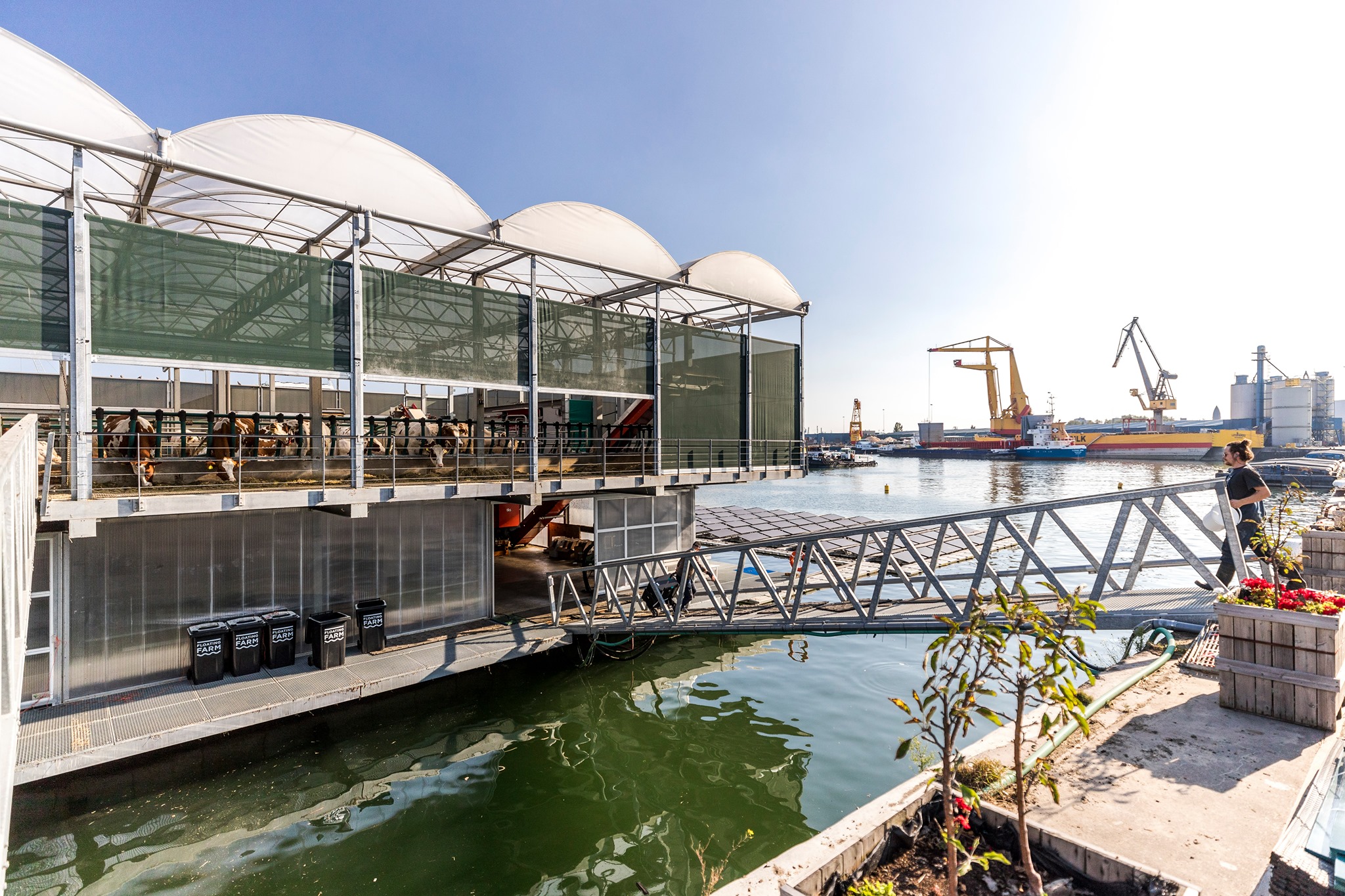 Floating Farm - indebuurt Rotterdam