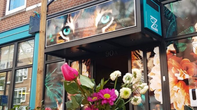 Cizz - indebuurt Rotterdam