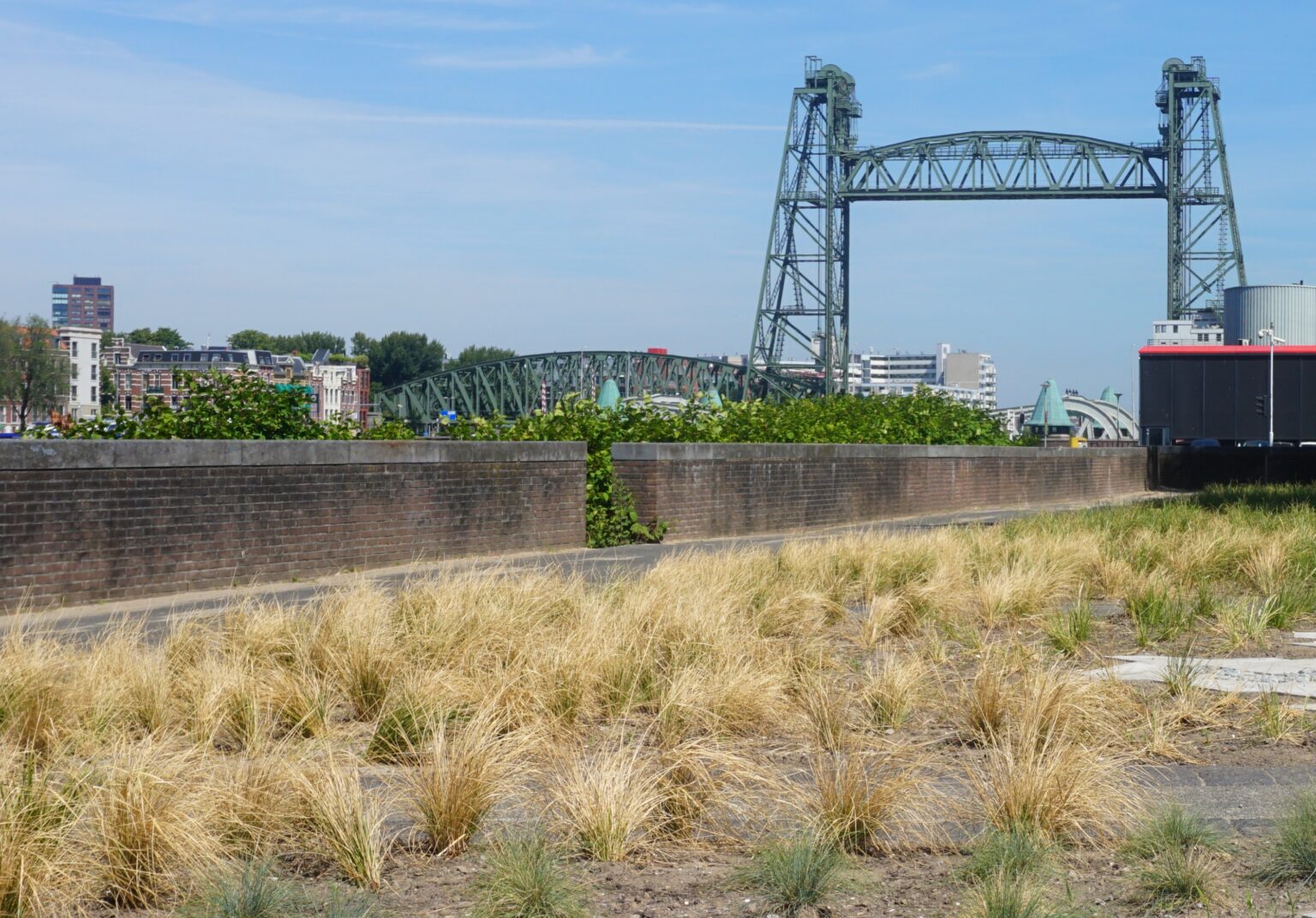 Officieel watertekort in Nederland: zo zit het in Rotterdam met de droogte