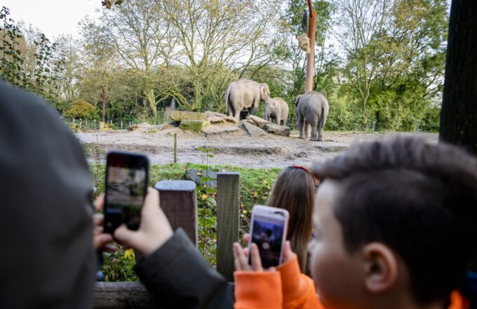 Diergaarde Blijdorp - indebuurt Rotterdam